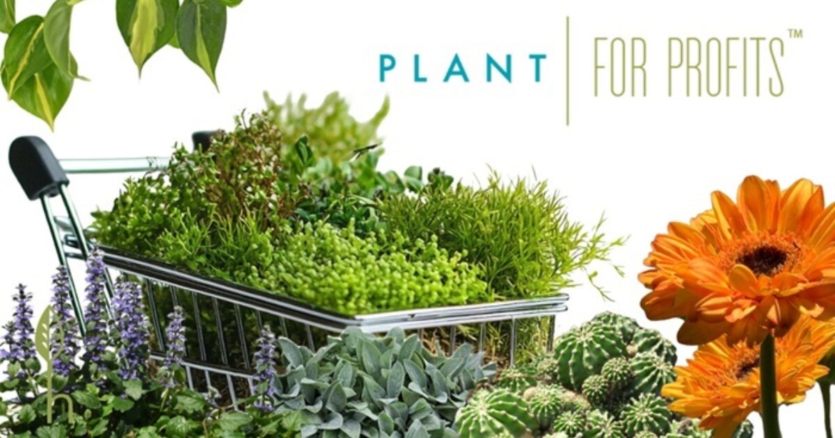 Halleck Horticultural | Garden Library - Gardening Zen: Find the…