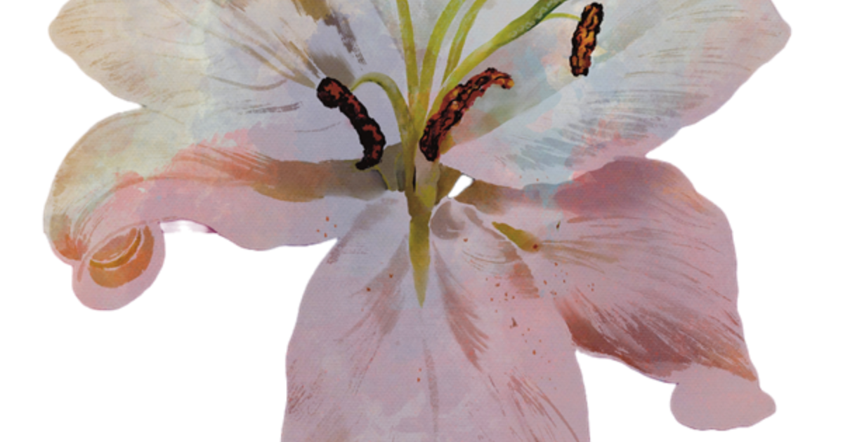 Halleck Horticultural | Plantgeek Chic - Botany 101: What is a…