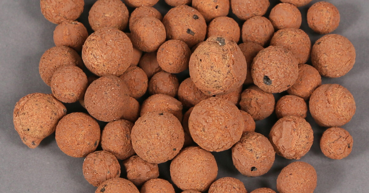 Halleck Horticultural | Plantgeek Chic - Hydroton Pellets for…