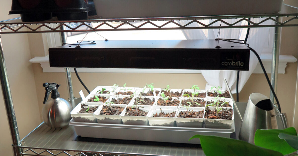 Halleck Horticultural | Plantgeek Chic - Grow Light Shelf Setup