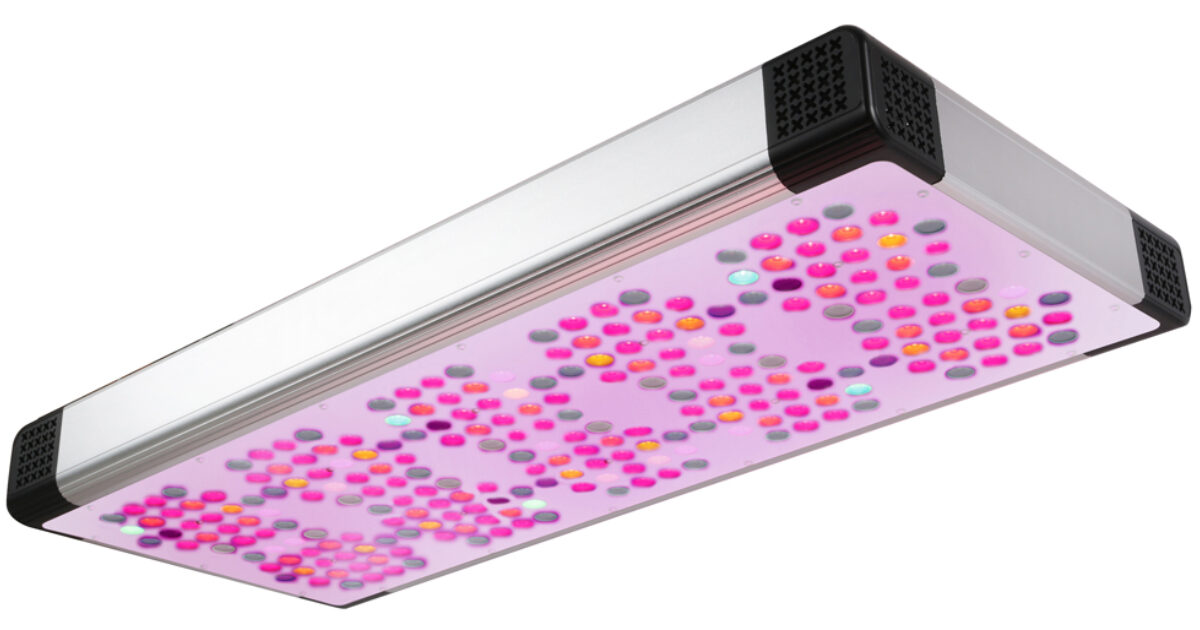 Halleck Horticultural | Plantgeek Chic - LED Zoned Grow Lamps