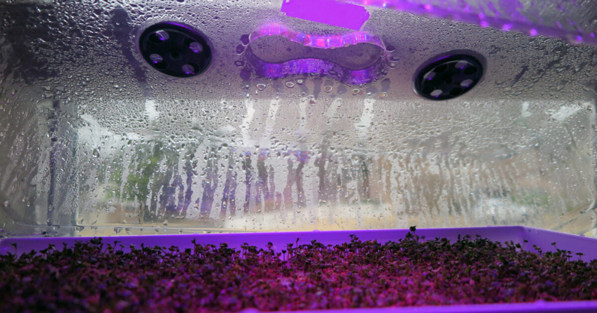 Halleck Horticultural | Plantgeek Chic - Humidity Domes for Seed…